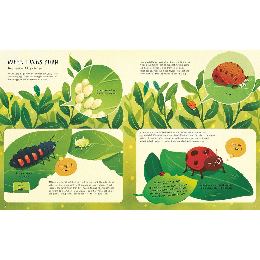 The Secret Life of Bugs Book | Highgrove Shop & Gardens