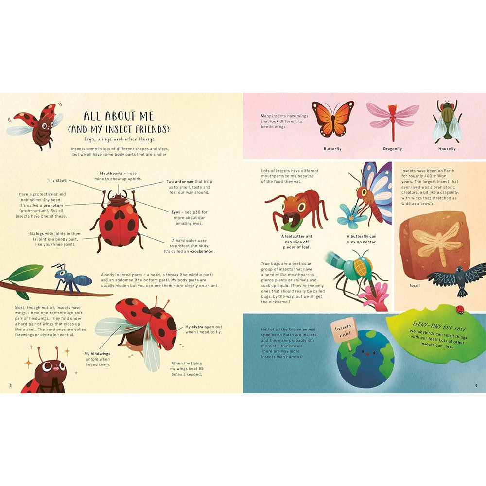 The Secret Life of Bugs Book | Highgrove Shop & Gardens