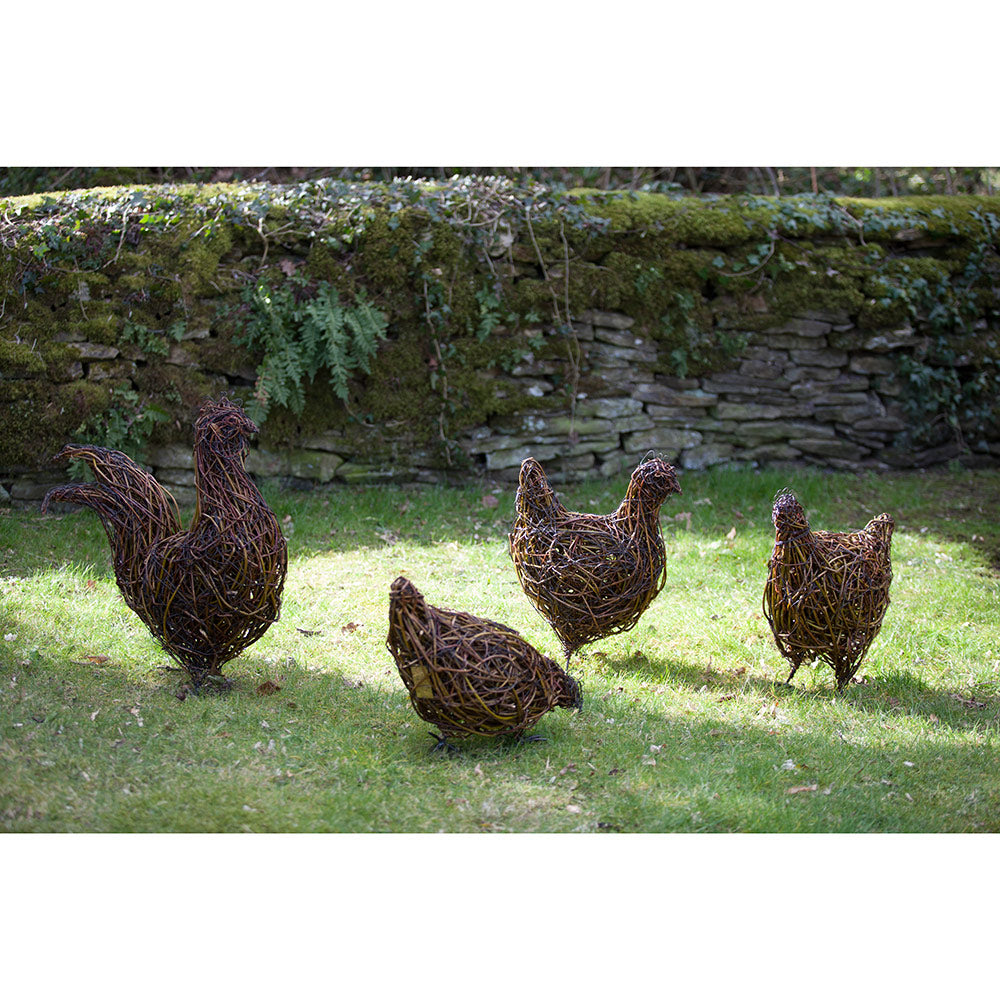 Clutch of Chattering Hens and Maran Cockerel Willow Sculptures | Emma ...