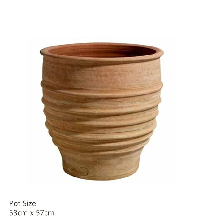 Fraska Terracotta Pots | Highgrove Shop & Garden